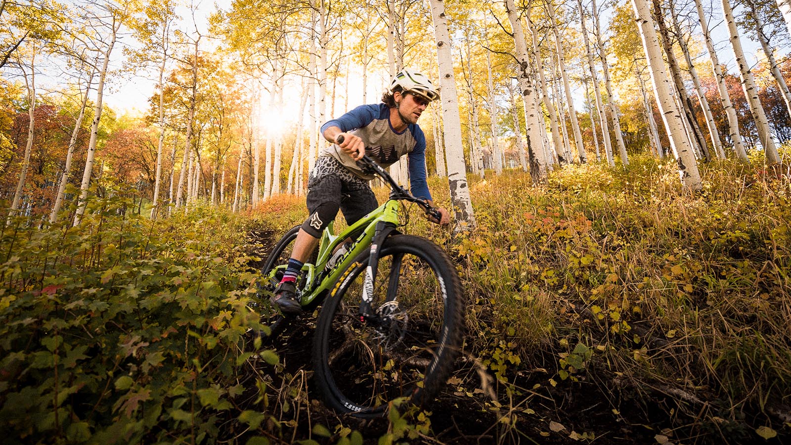 HiFi Handbuilt Bicycle Wheels – HiFi Sound Cycling Components